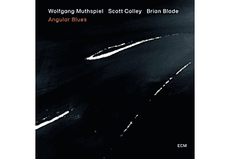 Wolfgang Muthspiel, Scott Colley, Brian Blade | Wolfgang Muthspiel ...