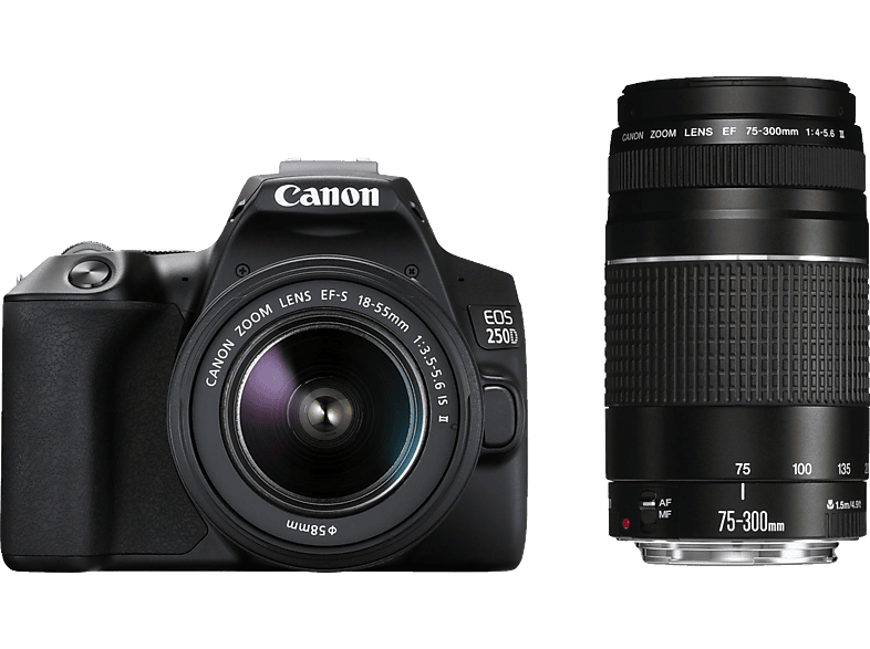 CANON EOS 250D Kit Spiegelreflexkamera, 24,1 Megapixel, 18-55 mm, 75 ...