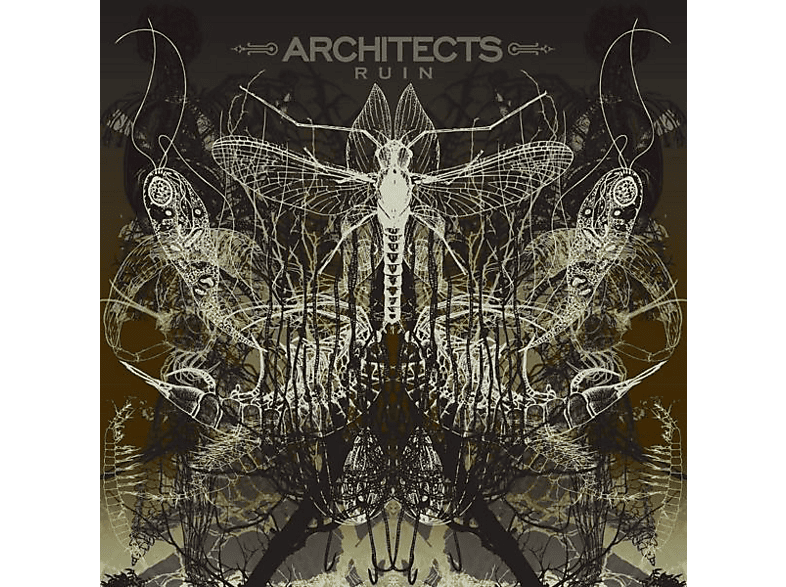 Architects | ruin - (Vinyl) | MediaMarkt