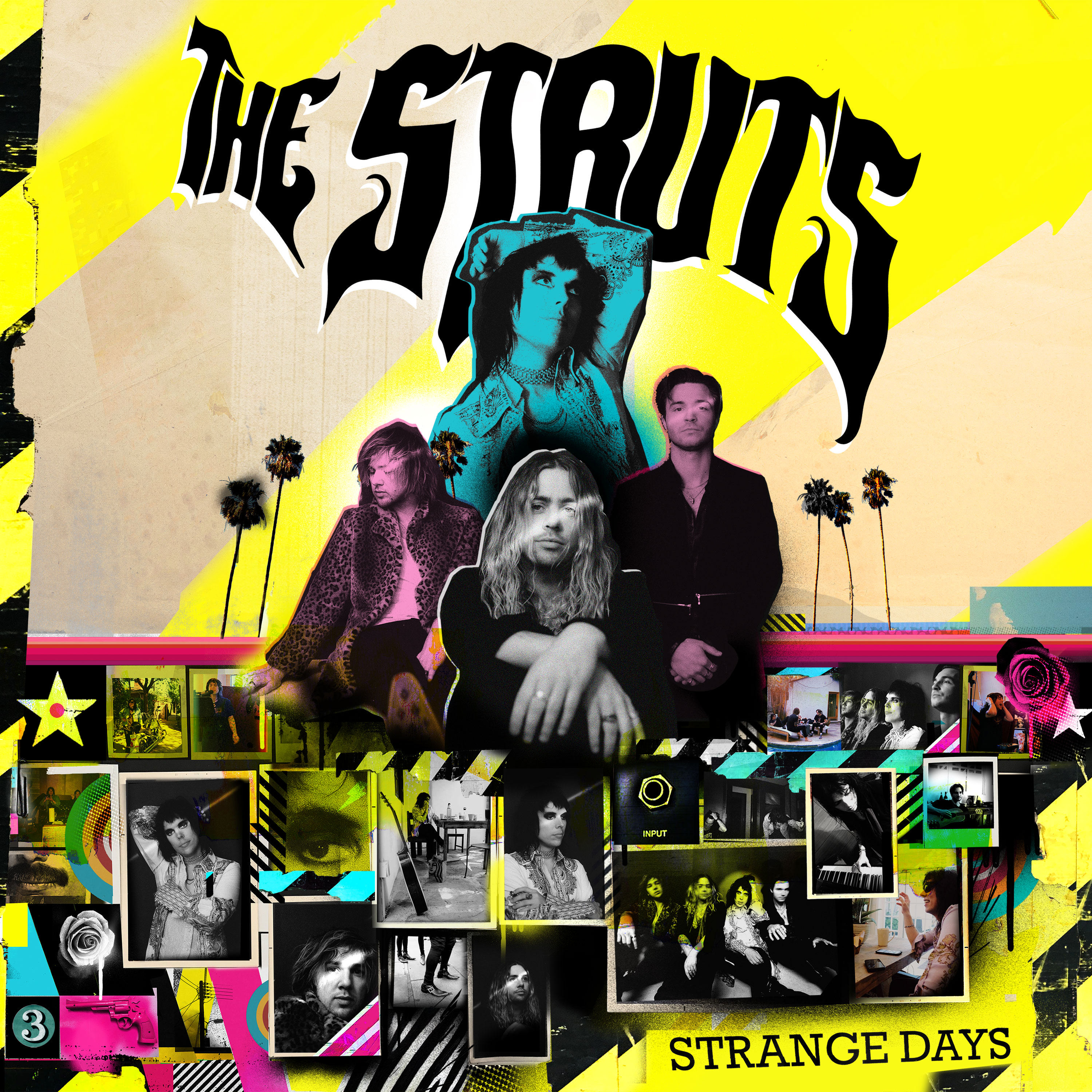 Struts | Struts - Strange Days - (CD) Rock & Pop CDs - MediaMarkt
