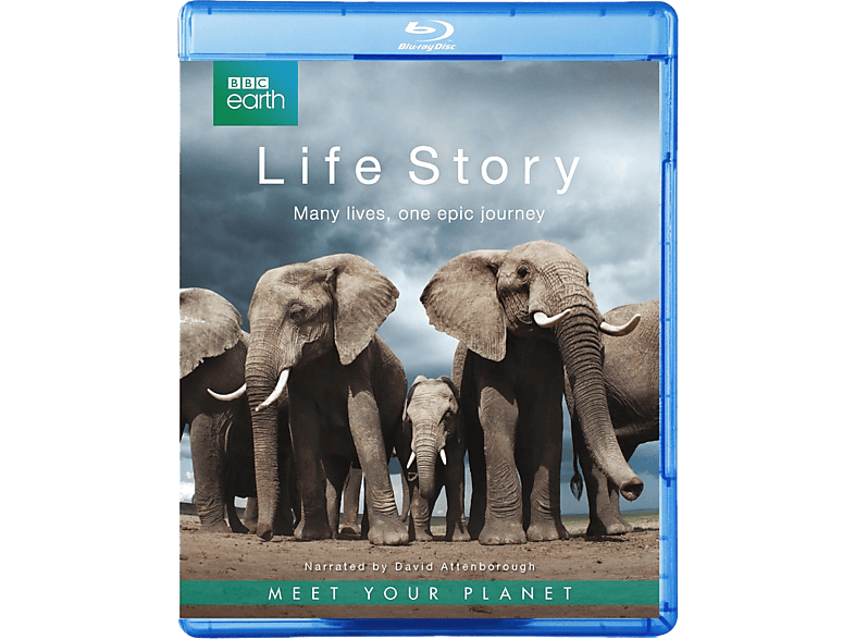 BBC Earth: Life Sory | Blu-ray | MediaMarkt