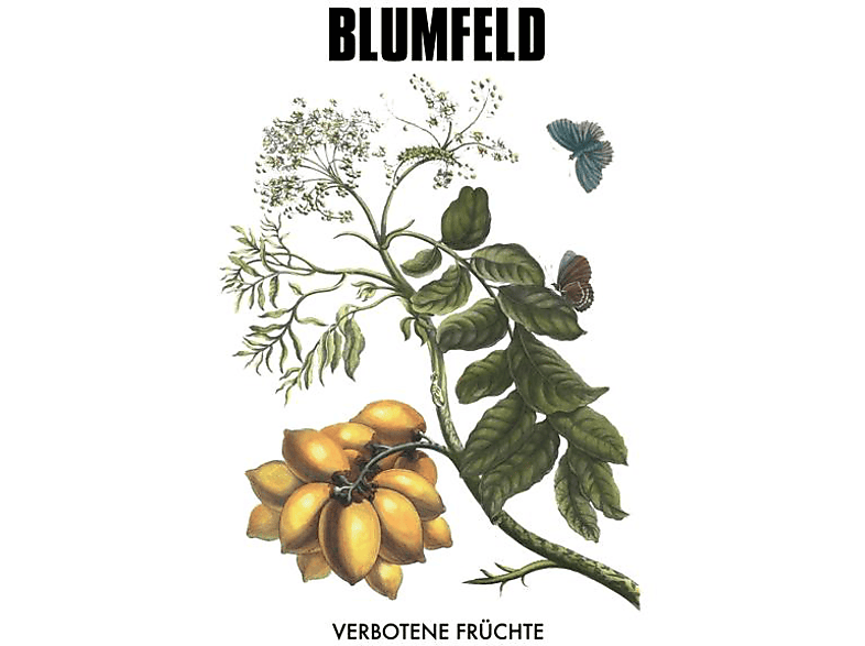 Blumfeld | Verbotene Früchte (New Vinyl Edition) - (Vinyl) | MediaMarkt