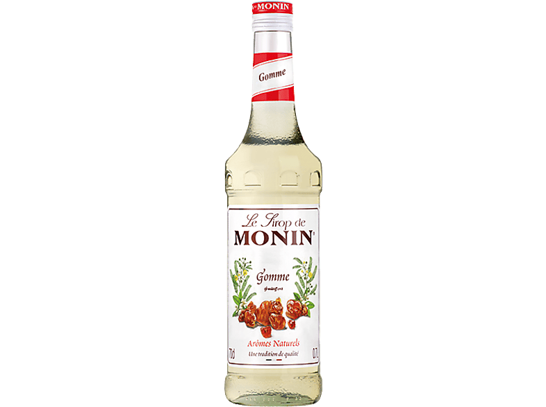 MONIN Sirup Gomme 0.7 l online kaufen | MediaMarkt