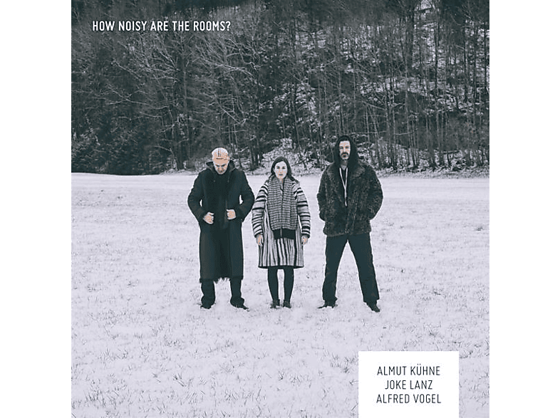 how-noisy-are-the-rooms-how-noisy-are-the-rooms-vinyl-how-noisy
