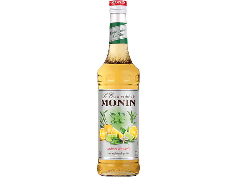 MONIN Sirup Lime Juice 0.7 l | MediaMarkt