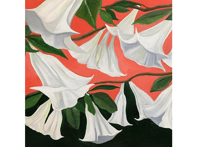 Danny George Wilson | Danny George Wilson - Another Place (LP+MP3 ...