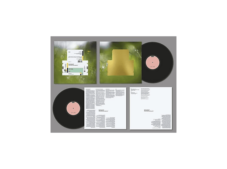 Spiritualized | Everything Was Beautiful - (Vinyl) | MediaMarkt
