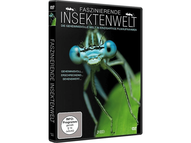 Faszinierende Insektenwelt DVD | MediaMarkt
