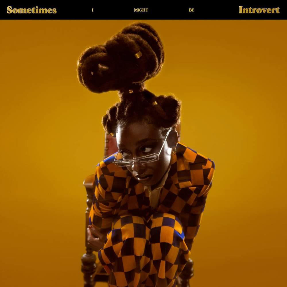 Little Simz | Sometimes I Might Be Introvert (2LP/Milky Clear) - (Vinyl ...