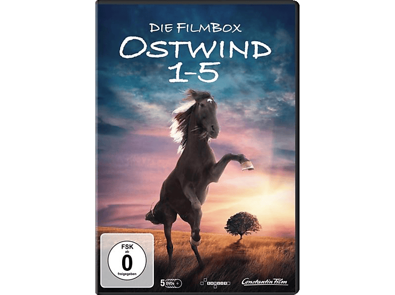 Ostwind 1-5 DVD | SATURN