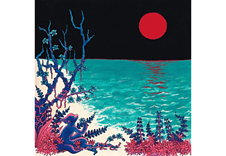 Glass Beach | The First Glass Beach Album (Clear Vinyl) - (Vinyl) Glass ...