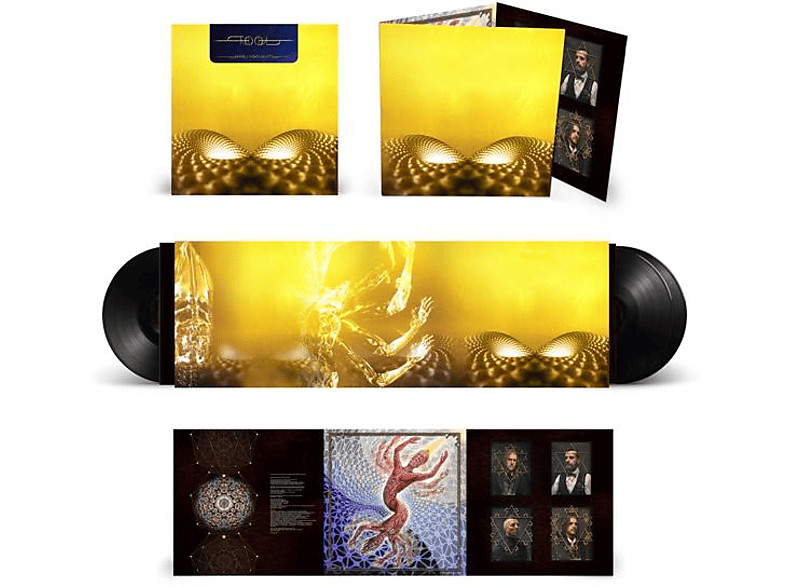 Tool | Fear Inoculum (3 LPs black vinyl) [Vinyl] online kaufen | MediaMarkt