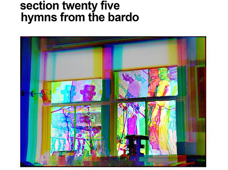 Section 25 | Section 25 - Hymns From The Bardo - (CD) Rock CDs - MediaMarkt