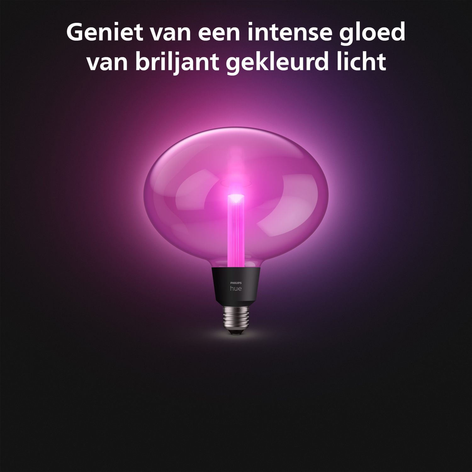 PHILIPS HUE Lightguide Ellipse Wit en Gekleurd Licht E27 | MediaMarkt