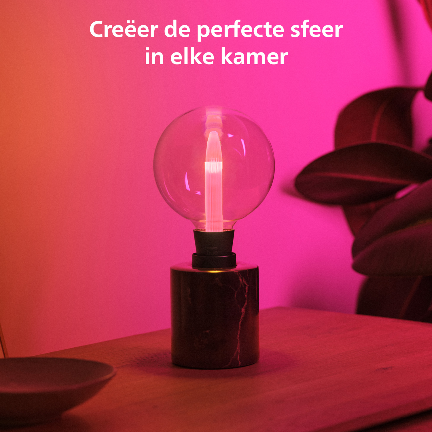PHILIPS HUE Lightguide Ellipse Wit en Gekleurd Licht E27 kopen ...