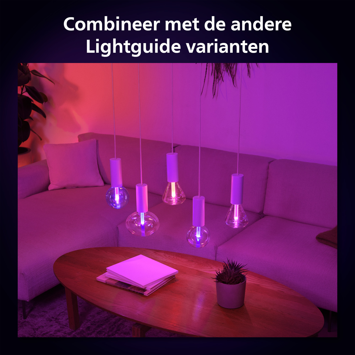 PHILIPS HUE Lightguide Ellipse Wit en Gekleurd Licht E27 kopen ...