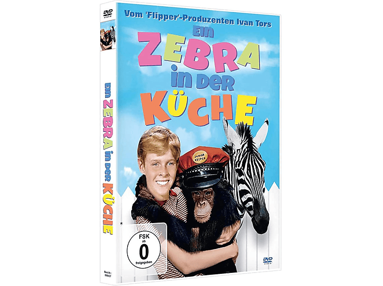 Ein Zebra In Der Küche DVD online kaufen | MediaMarkt