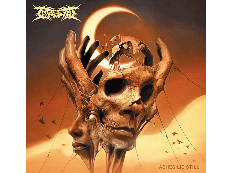 Ingested | Ashes Lie Still [CD] online kaufen | MediaMarkt