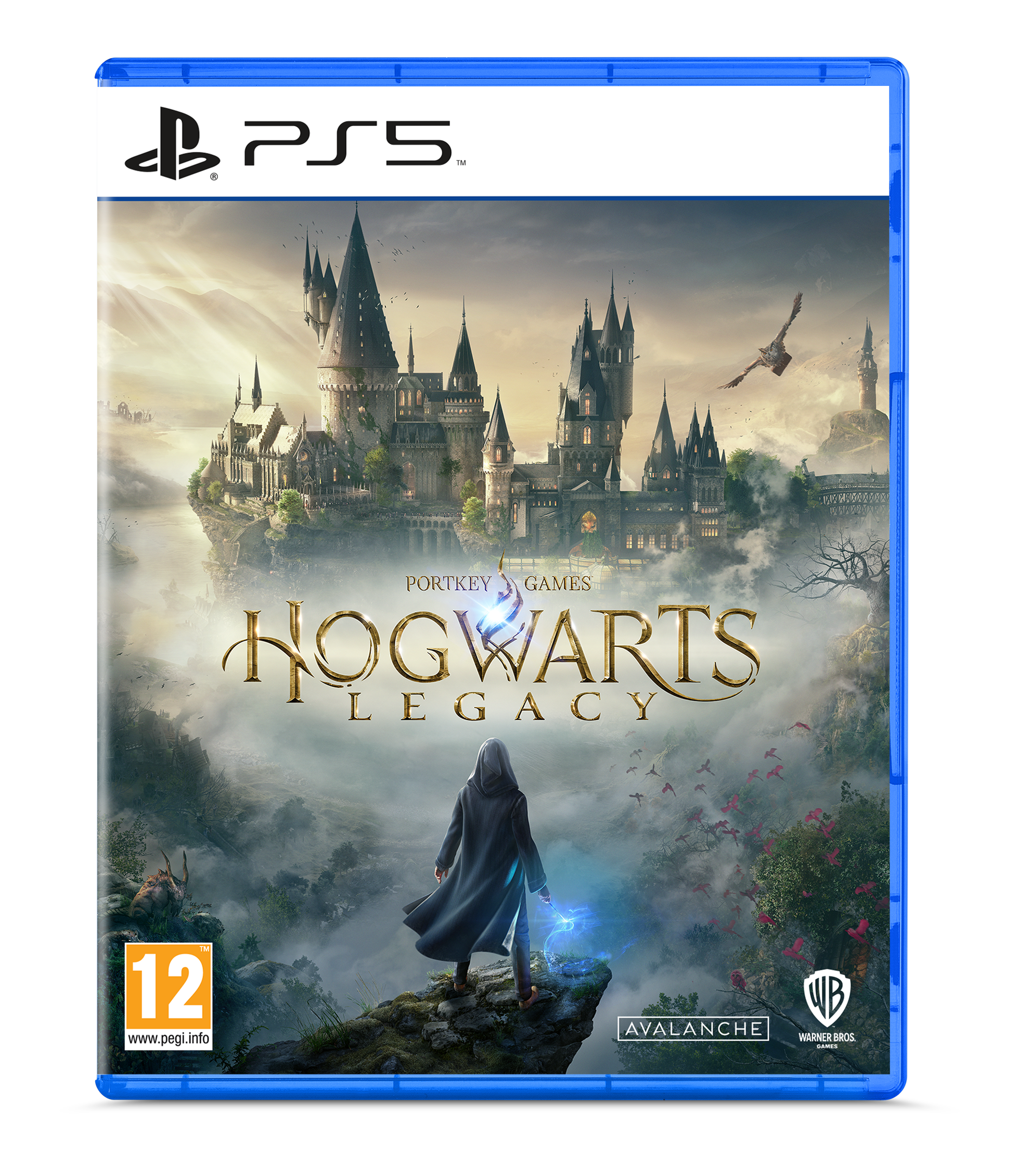 Hogwarts Legacy | [PlayStation 5] online kaufen | MediaMarkt