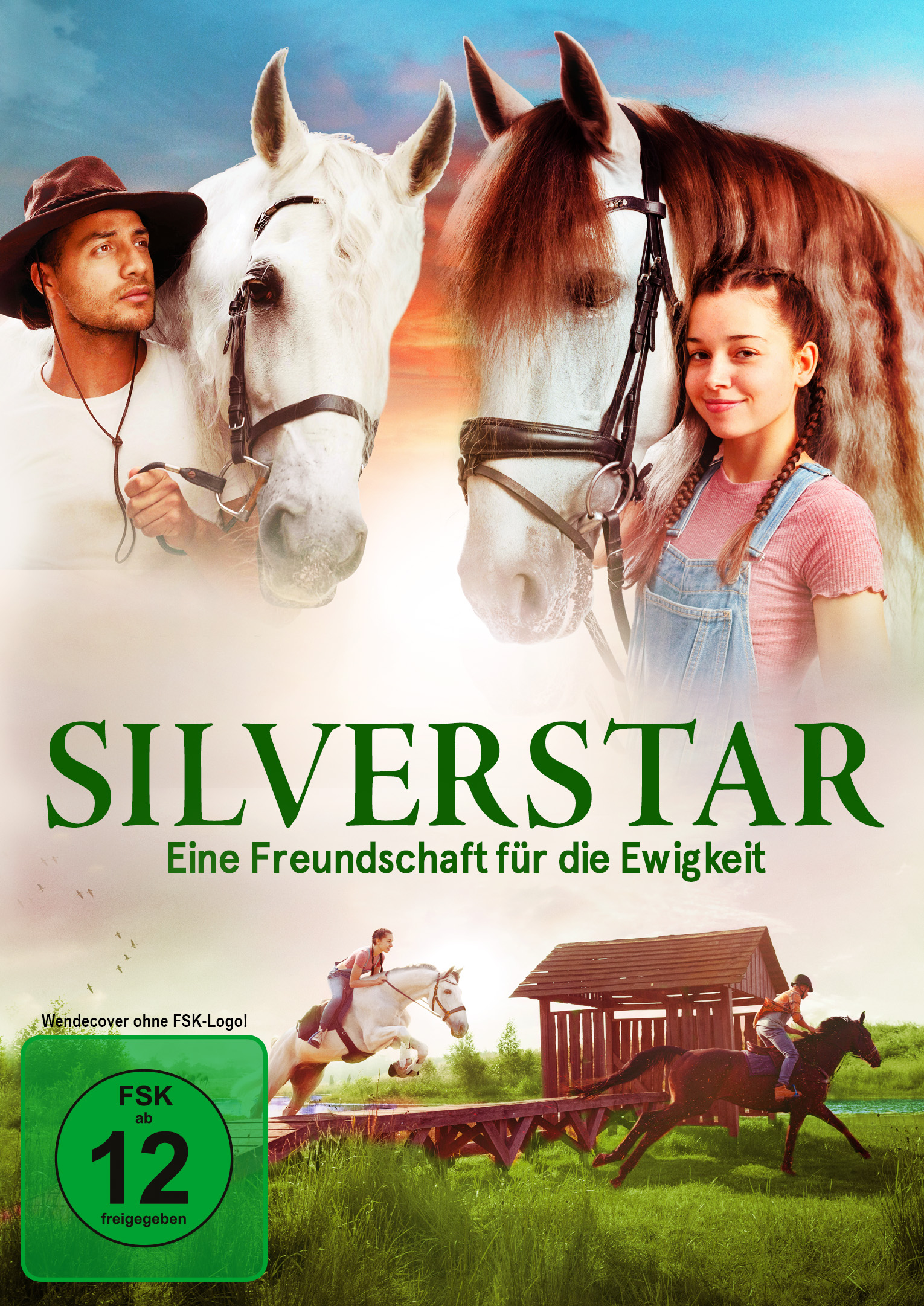 Silverstar DVD | MediaMarkt