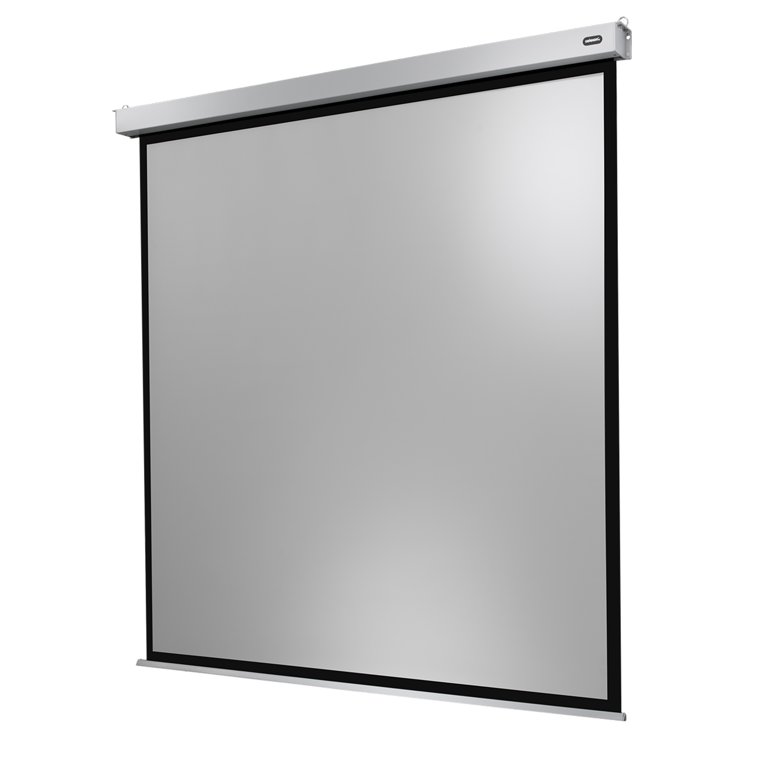 Pantalla para proyector - CELEXON celexon Profesional Plus motorizada ...