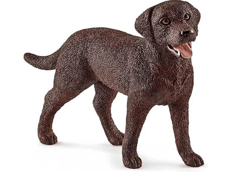 SCHLEICH 13834 LABRADOR RETRIEVER HÜNDIN Spielfigur Mehrfarbig | MediaMarkt