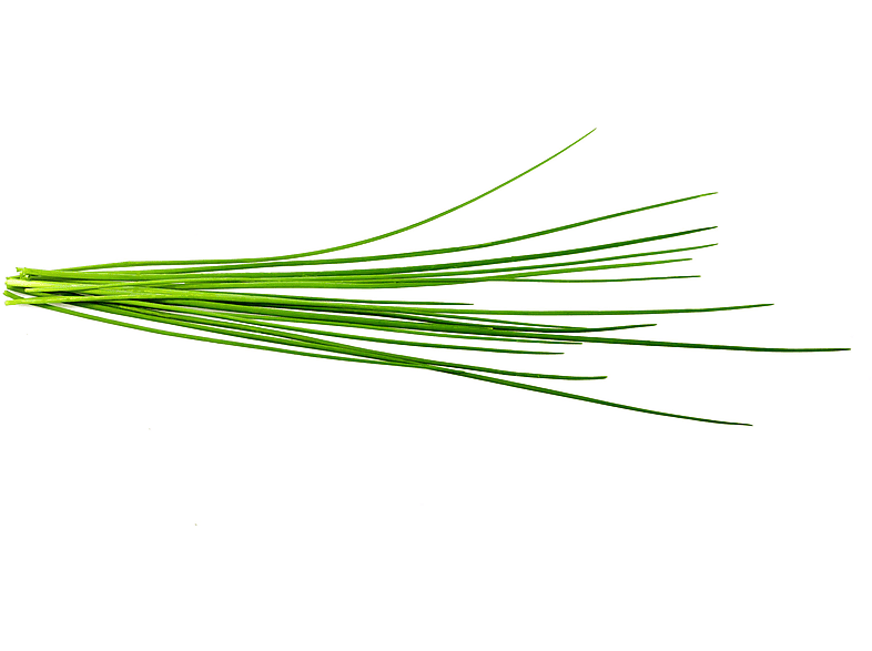 EMSA 600063 CLICK&GROW SUBKAPSEL SCHNITTLAUCH Substratkapsel Weiß | SATURN