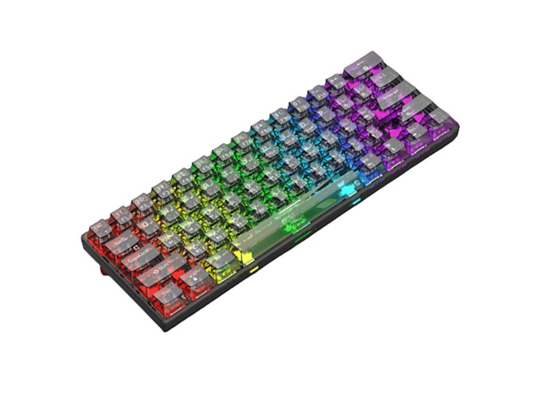 SYNTEK Tastatur schwarz Mechanisches Feeling USB Verdrahtet Dual ...