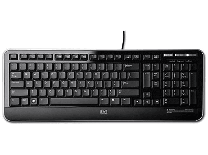 Teclado con cable | HP QY776AA, Alámbrico, Negro | MediaMarkt