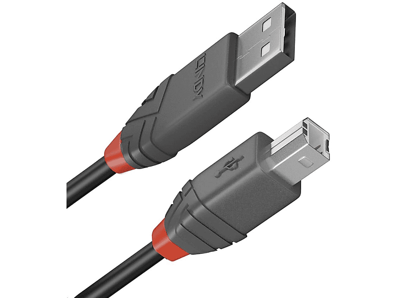 Cable USB | LINDY 36677, USB 2.0, USB-A, USB-B, Negro, Gris, Rojo ...