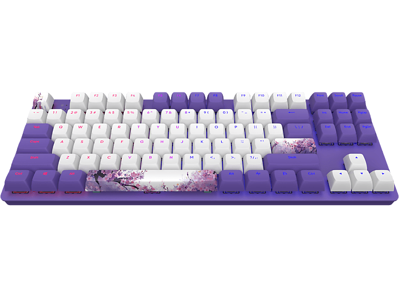 DARK PROJECT Dark Project One | 87 Violet Horizons G3MS Mech. RGB (ENG ...