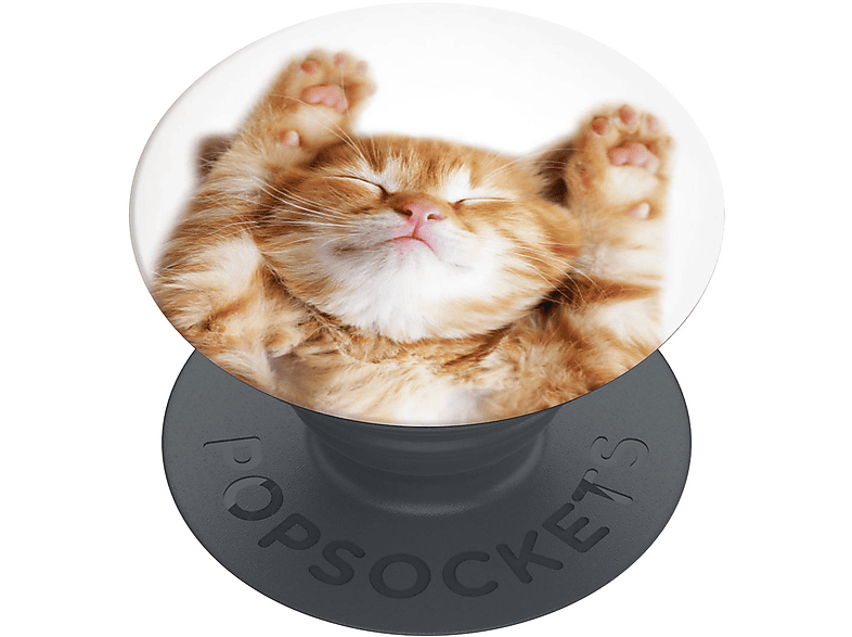 POPSOCKETS Halterung PopGrip Handyhalterung, Snoozy Cat | MediaMarkt