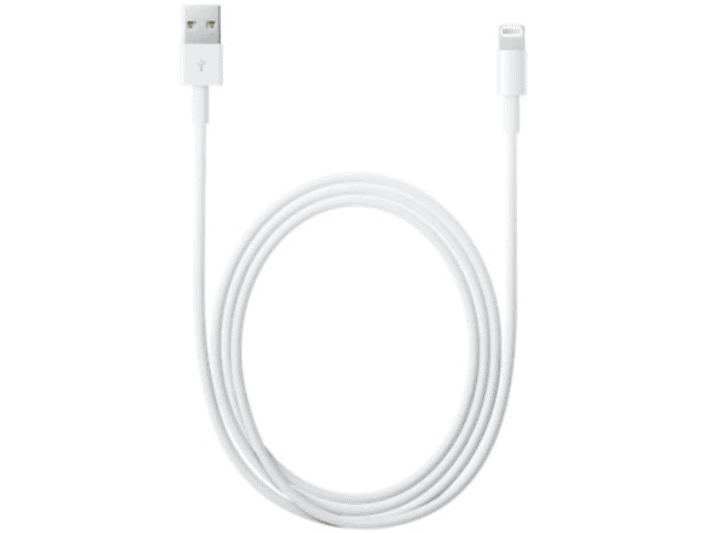 APPLE MD819ZM/A Lightning Kabel | MediaMarkt