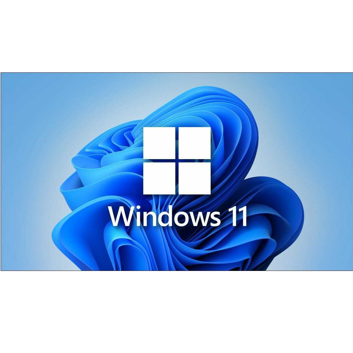 X-HARDWARE 12400│16│256│4│Win 11, Business PC mit Intel® Core™ i5 12400 ...