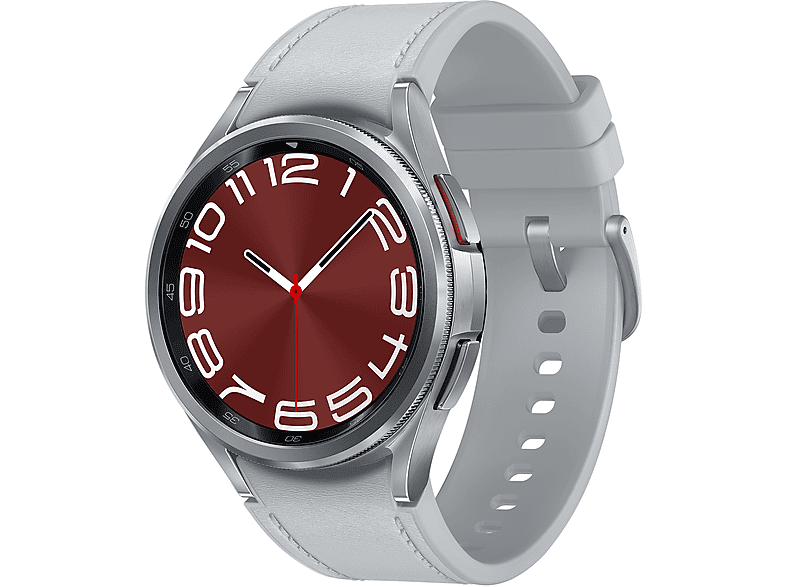 SAMSUNG Galaxy Watch 6 R955 Classic LTE 43mm silver Smart Watch ...