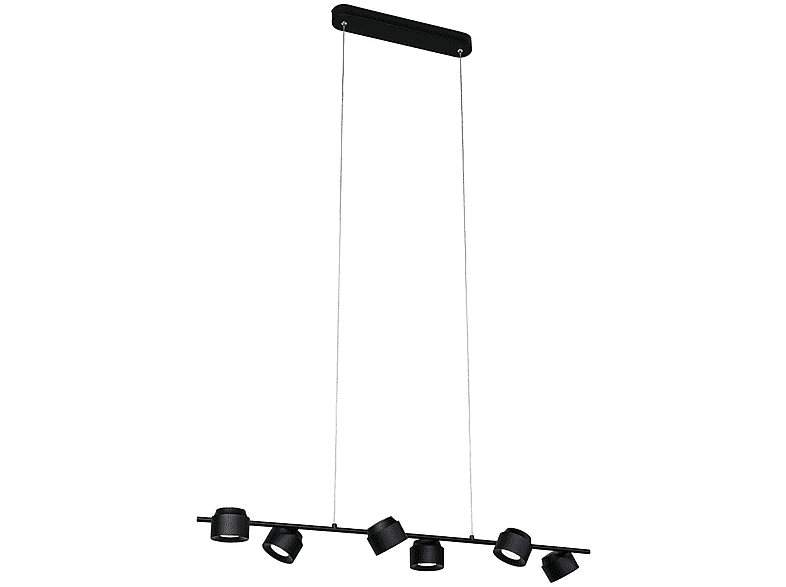 PAULMANN LICHT Puric Pane (79784) Pendelleuchte Warmweiß | SATURN