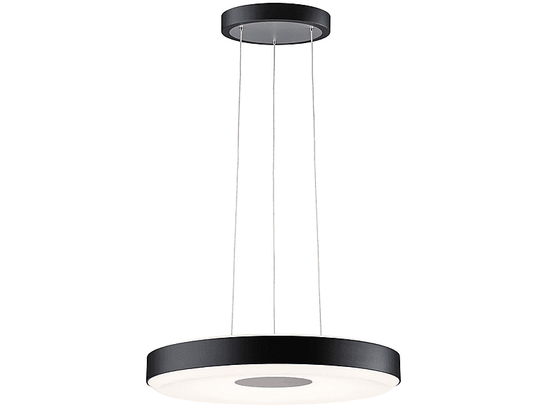 PAULMANN LICHT Puric Pane (79779) Pendelleuchte Warmweiß | MediaMarkt