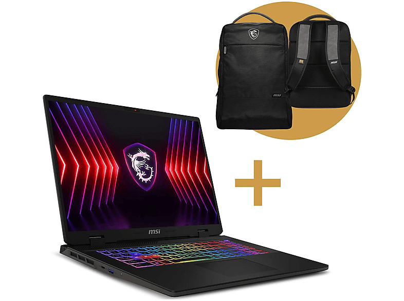 MSI Sword 17 HX B14VGKG-043, Notebook, mit 17,3 Zoll Display, Intel ...