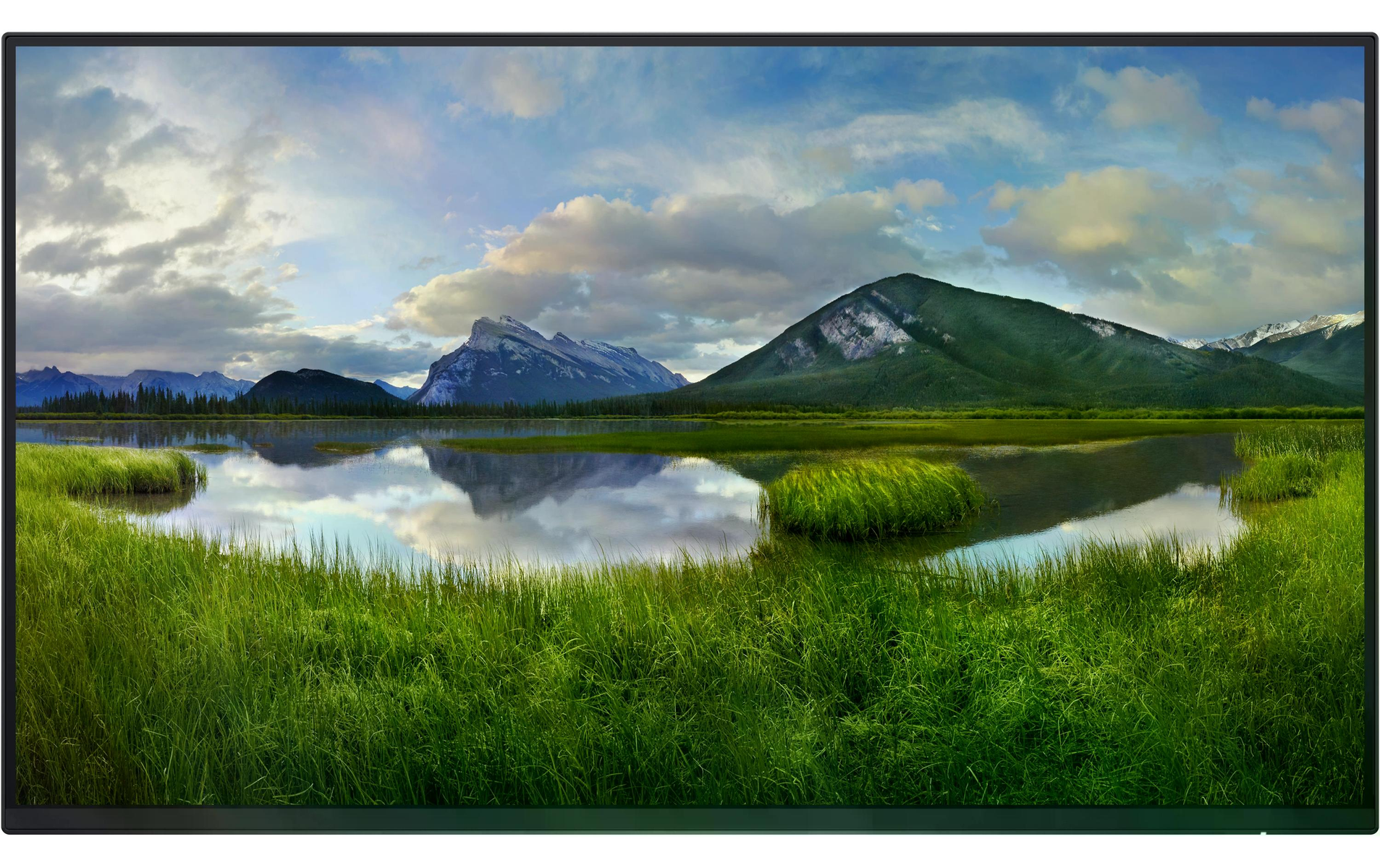 DELL DELL-P2425HEWO | 24 inch - 1920 x 1080 (Full HD) - IPS (In-Plane ...