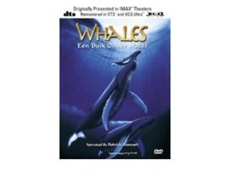 IMAX | Whales | MediaMarkt