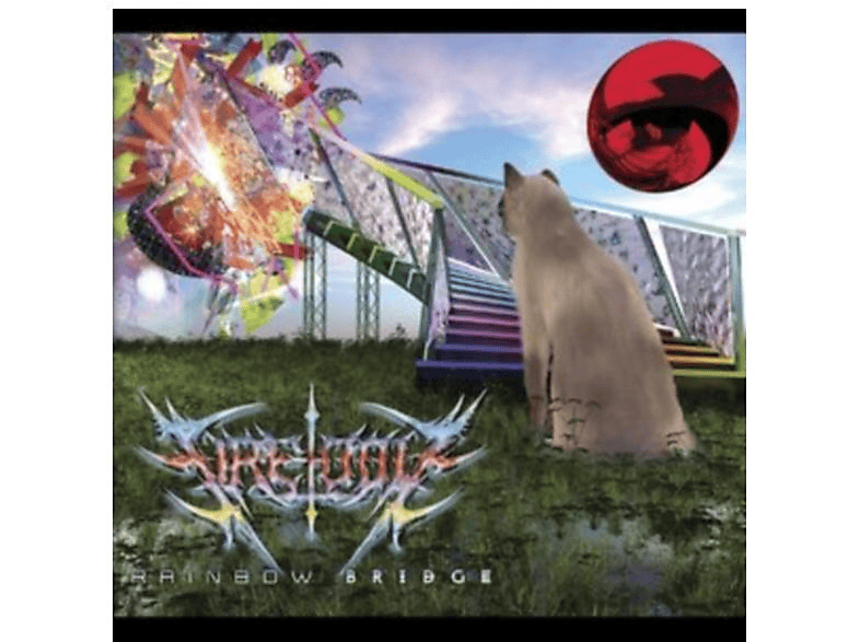 V2-DATENSÄTZE Fire-Toolz - Rainbow Bridge (CD) | MediaMarkt