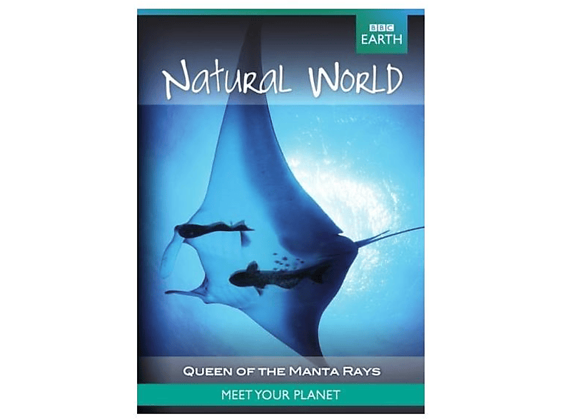 BBC Earth | Natural World Natural World Collection Queen Of The Manta ...