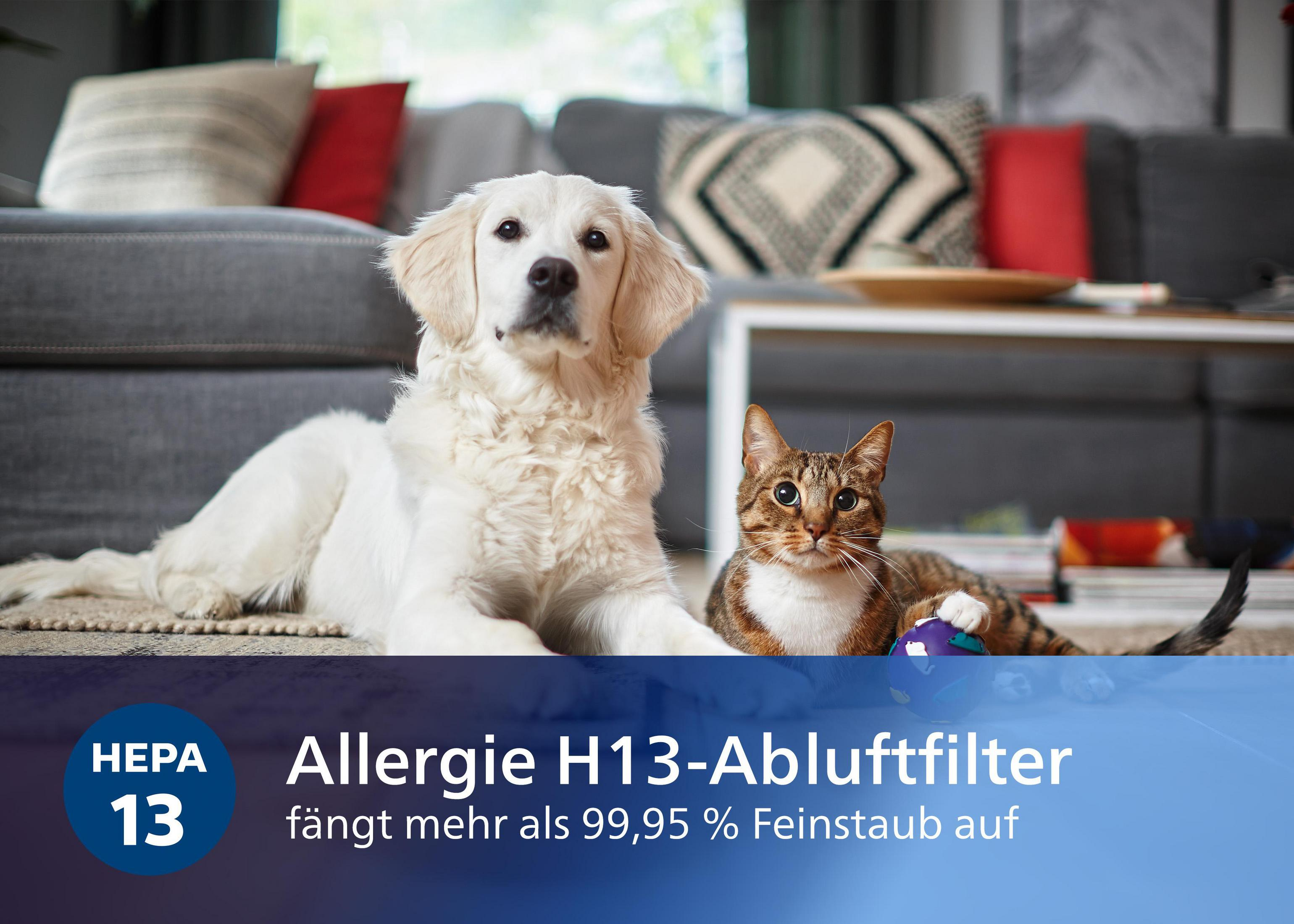 PHILIPS FC8038/01, HEPA-Filter | MediaMarkt