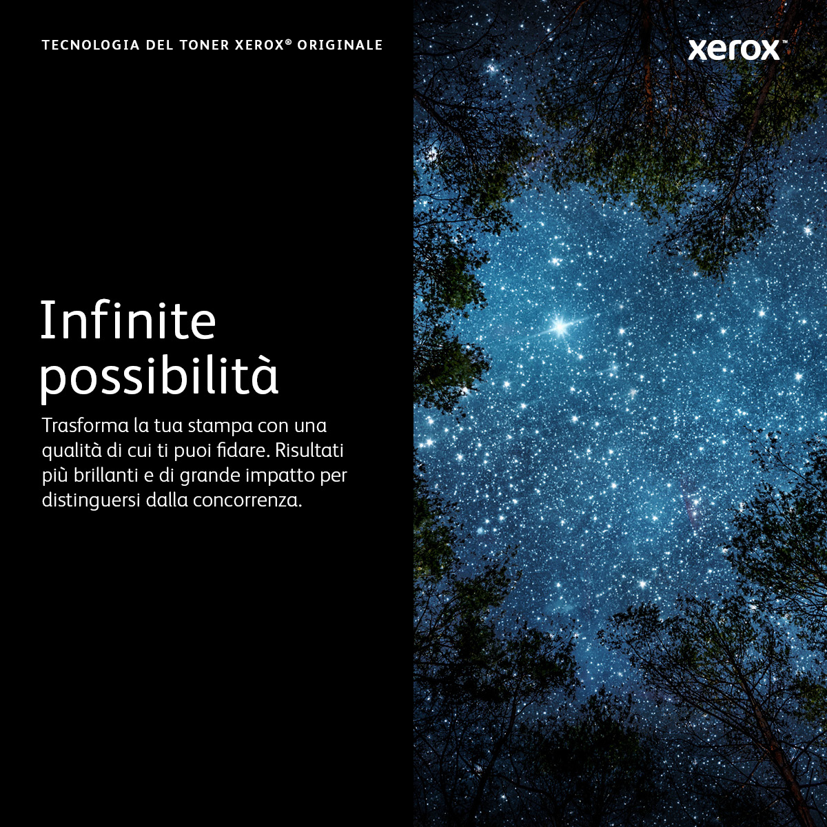 XEROX 006R04356 Czarny | sprawdź cenę i opinie w MediaMarkt