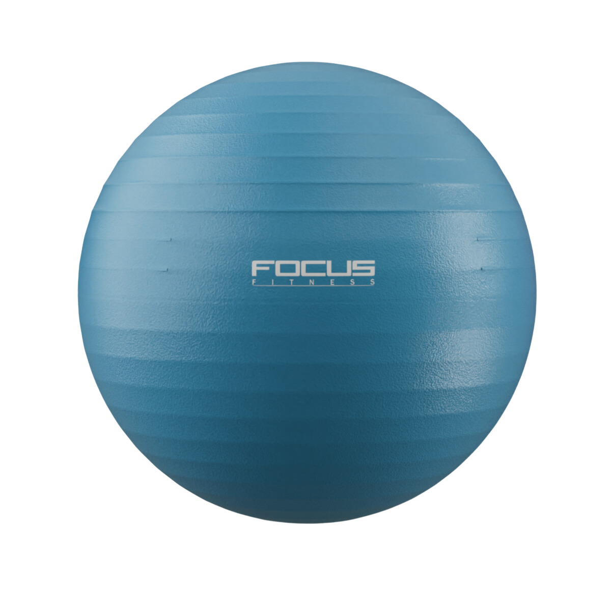 FOCUS FITNESS Gym Ball | 55 cm Fitnessbal | MediaMarkt
