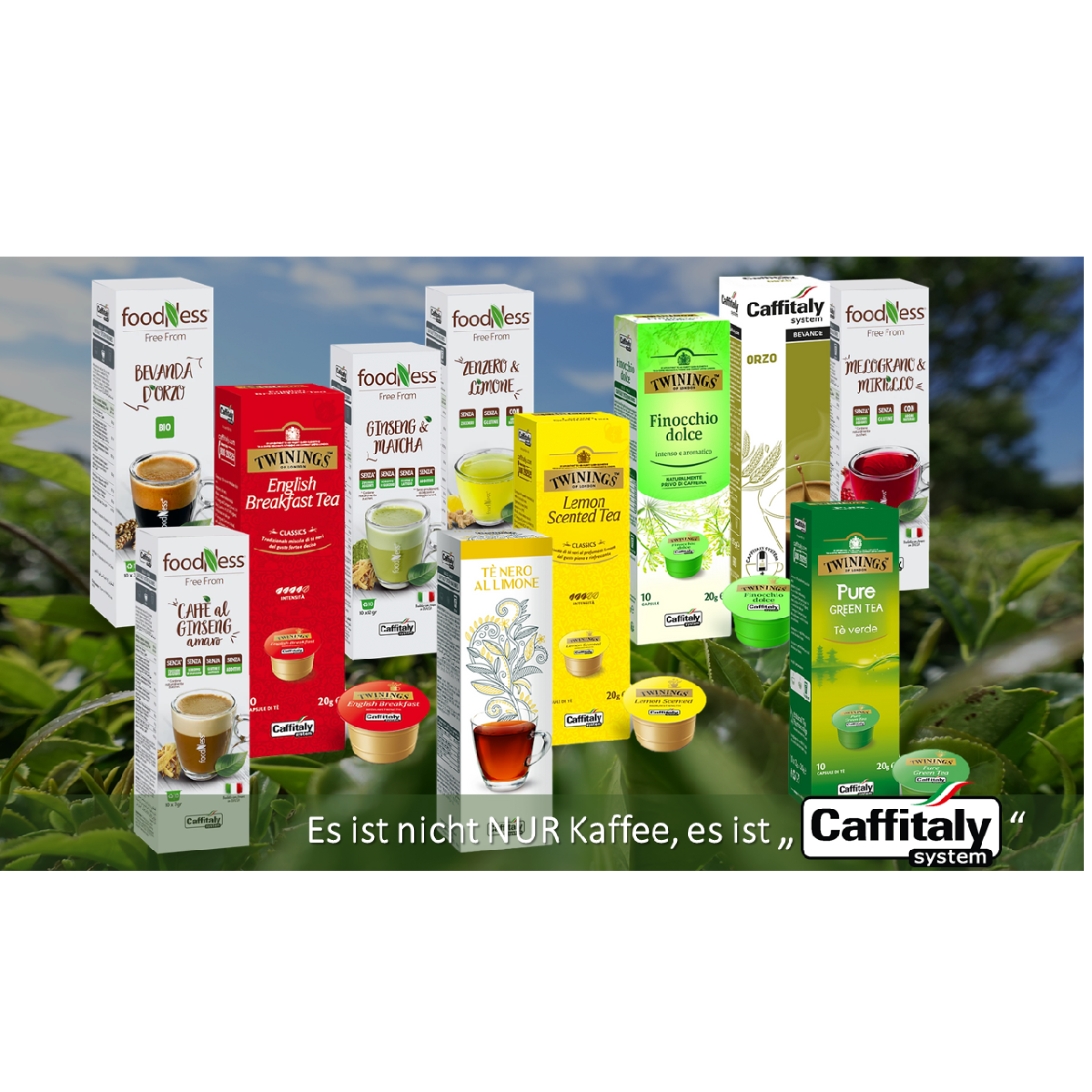 CAFFITALY BEVANDA | D’ORZO FOODNESS Caffitaly System Kaffeekapseln ...