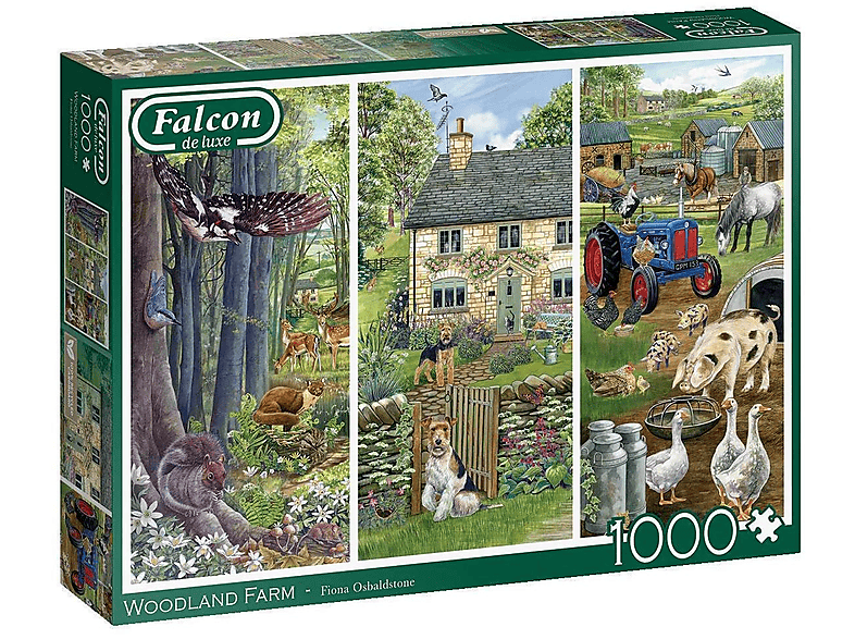 JUMBO SPIELE GMBH 1110500242 Puzzle | MediaMarkt