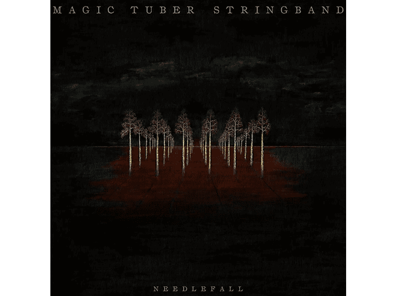 UNBEKANNT Magic Tuber Stringband | Needlefall (LP) | MediaMarkt