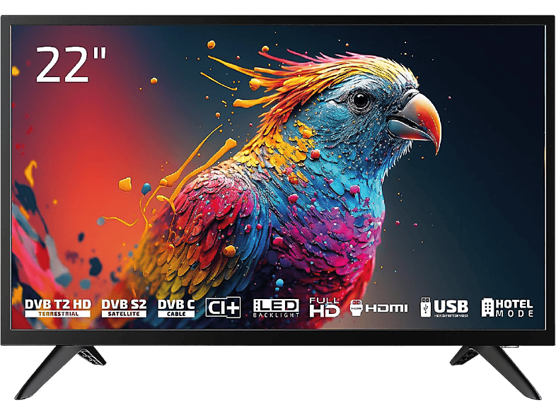 DYON Enter 22 Pro X2 LED TV (Flat, 22 Zoll / 55 cm, Full-HD) | MediaMarkt