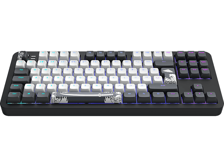 DARK PROJECT ALU Bushido (DE) [ISO], Mechanische Gaming Tastatur ...